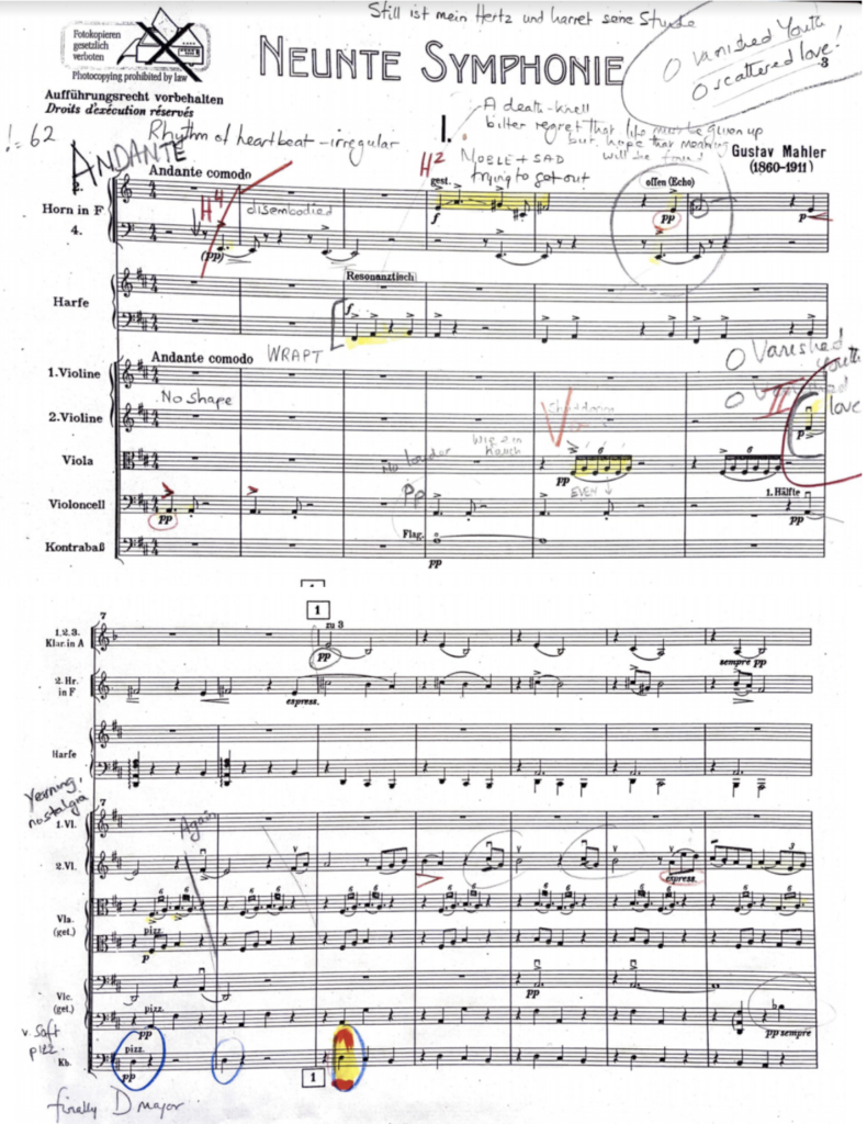 Mahler: Symphony no. 9 - Ben Zander