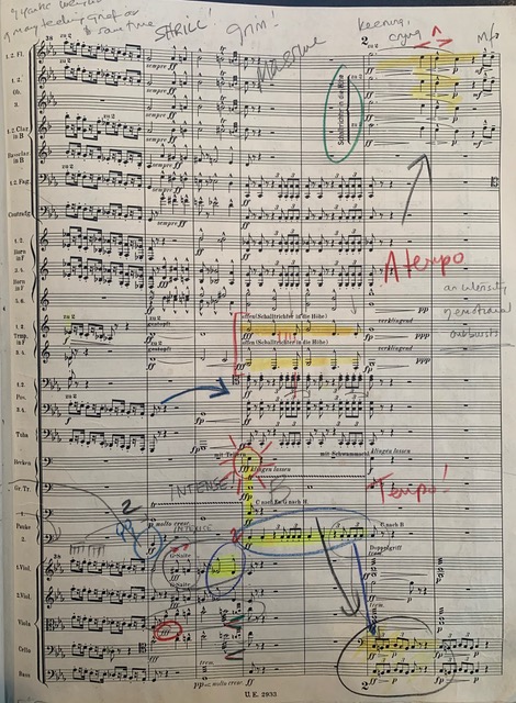 Mahler: Symphony no. 2 - Ben's Score - Ben Zander